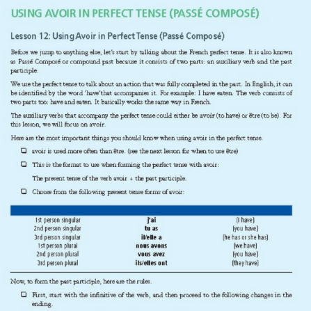 French Beginner Grammar E Book Talk In French Store