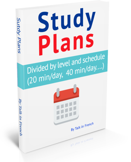 Fluent in French Study Guide | Talk in French Store